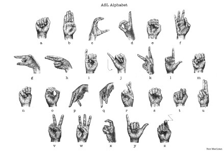 asl alphabet poster – roz macLean