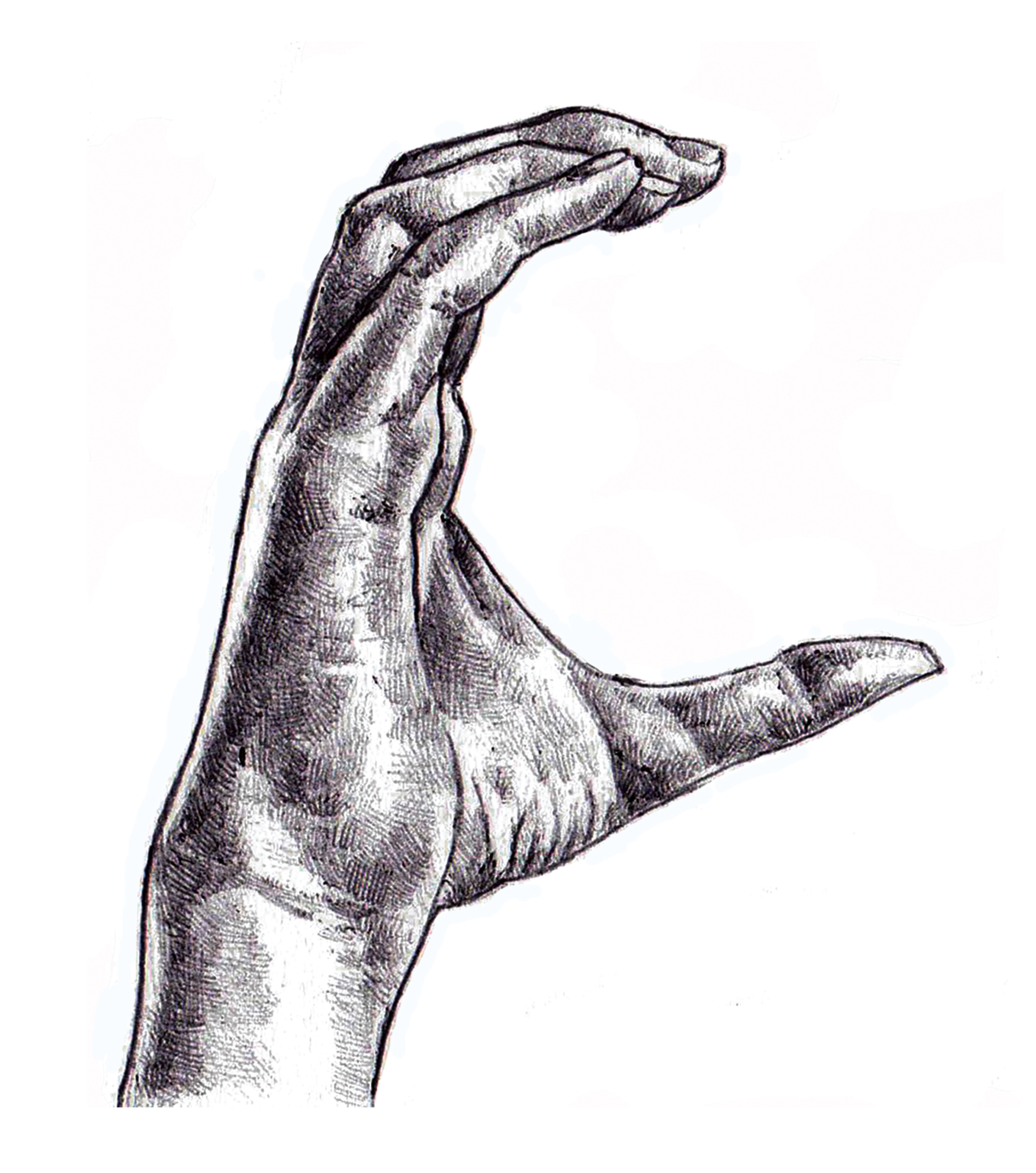 American Sign Language Drawings – roz macLean